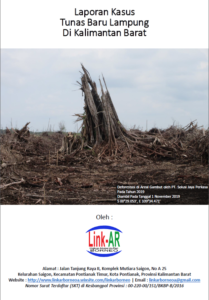 Laporan Kasus Tunas Baru Lampung di Kalimantan Barat - Link-AR Borneo